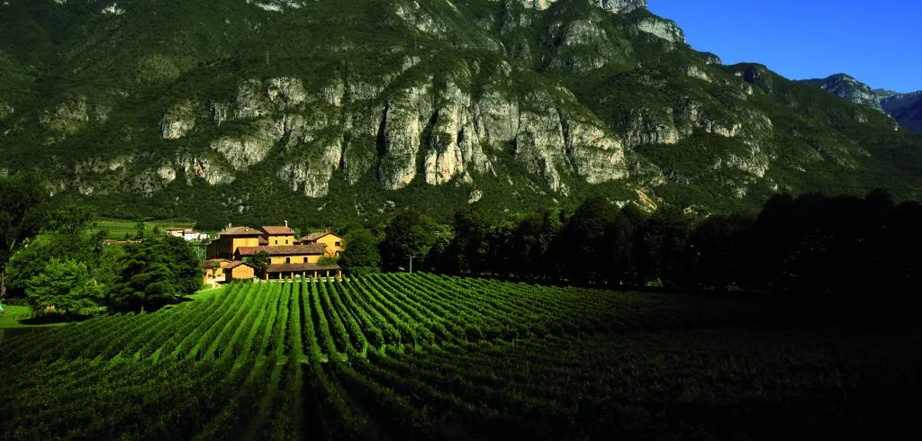 Tracing San Leonardo’s Winemaking Legacy in Trentino | Colorado Western ...