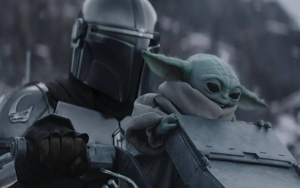 Star Wars and Remarkably Bright Creatures deliver comfort | Colorado ...